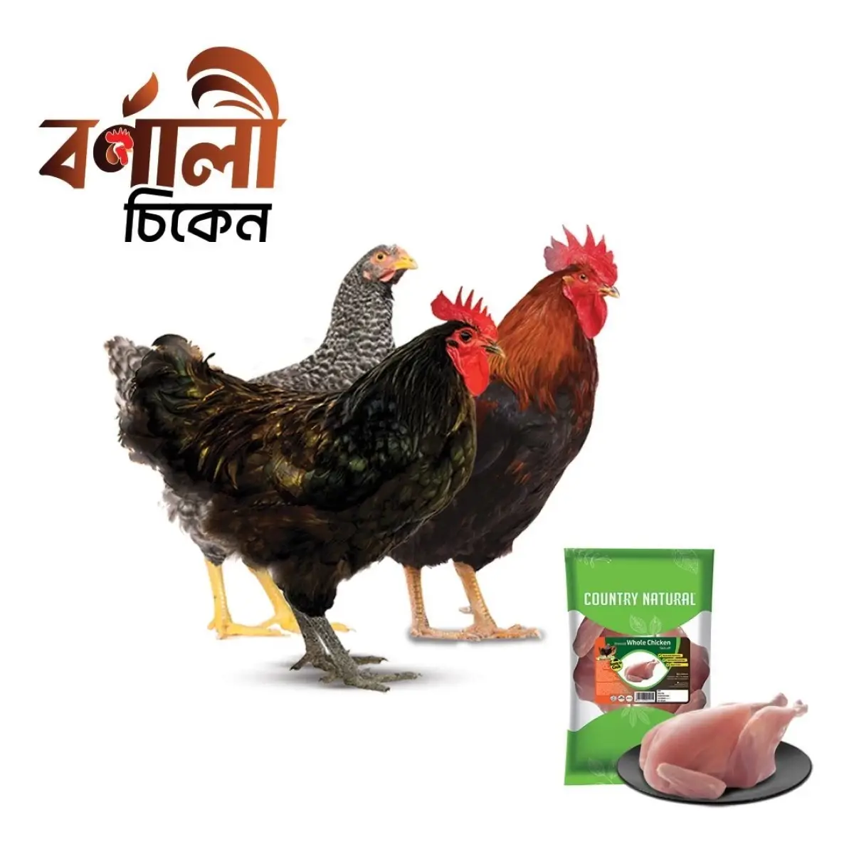 BORNALI Chicken (Dressed) -1 Kg